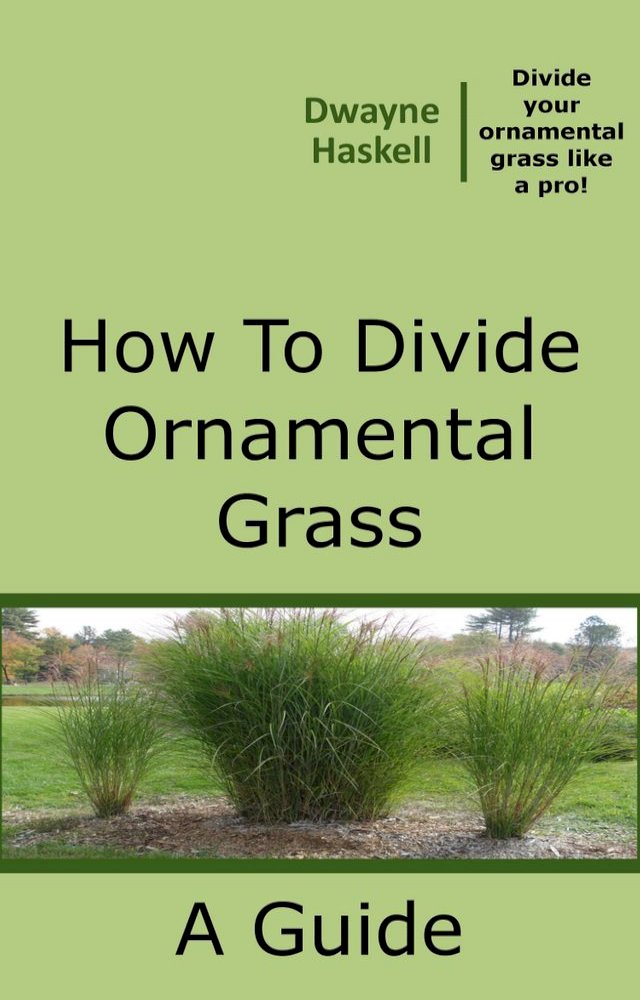 How To Divide Ornamental Grass - PChome 24h書店