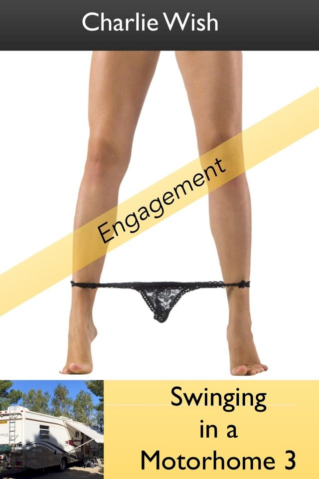 Swinging in a Motorhome 3 - PChome 24h書店